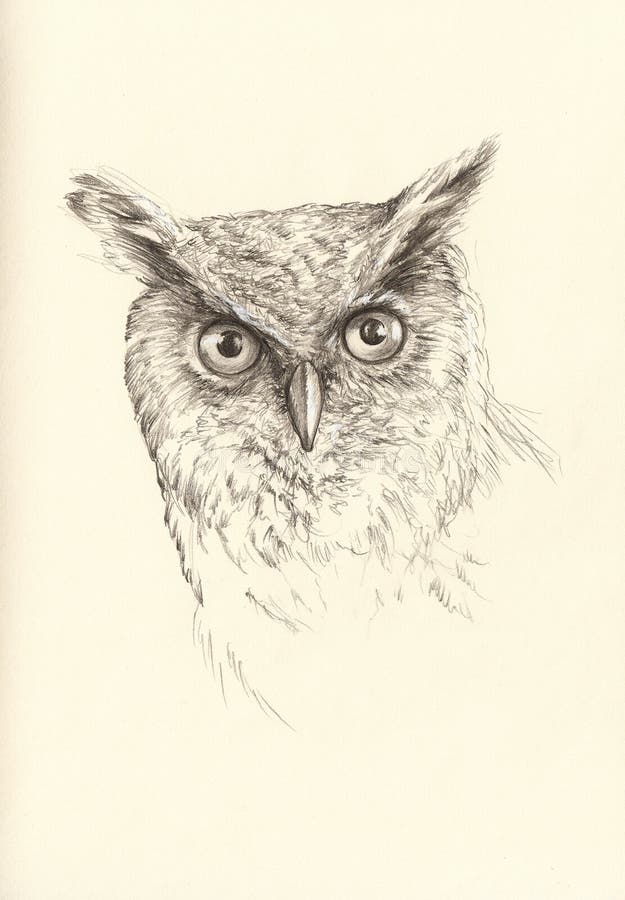 Pencil drawing head owl stock illustration. Illustration of hand - 58833021