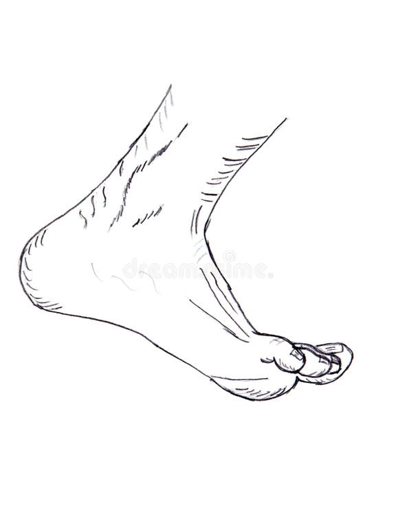 Pencil Drawing Human Leg Stock Photos - Free & Royalty-Free Stock ...
