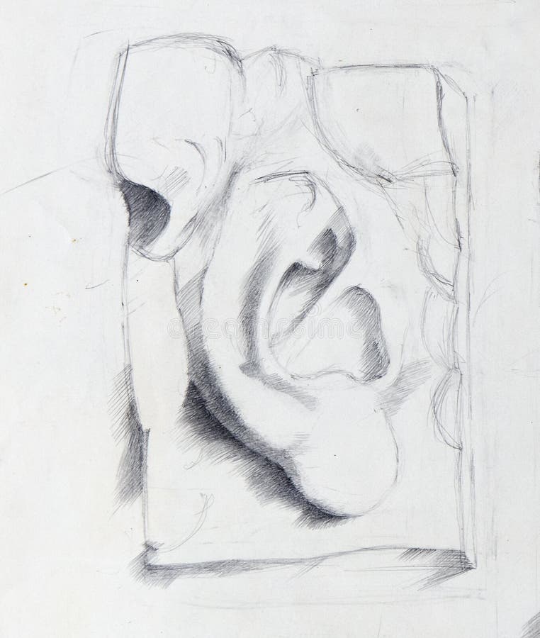 Pencil Drawing Illustration, Sketch, Hand Made Stock Illustration ...