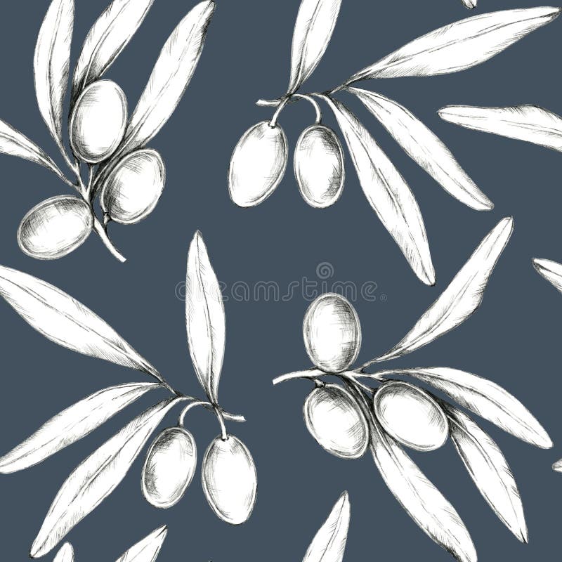 Pencil-drawn Olives and Olive Branches on a Deep Blue Background ...