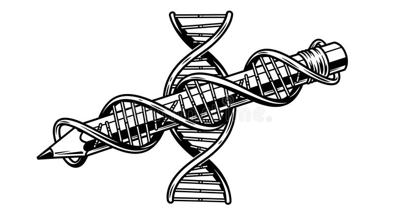 Pencil Intertwined with a DNA Double Helix. the DNA Structure Wraps ...