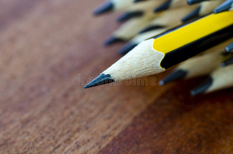 Pencil Standing Out Representing Courage or Leadership with ...
