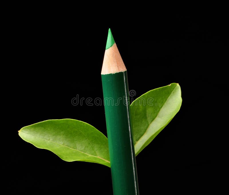 Pencil tree stock image. Image of plant, sign, black - 10543791