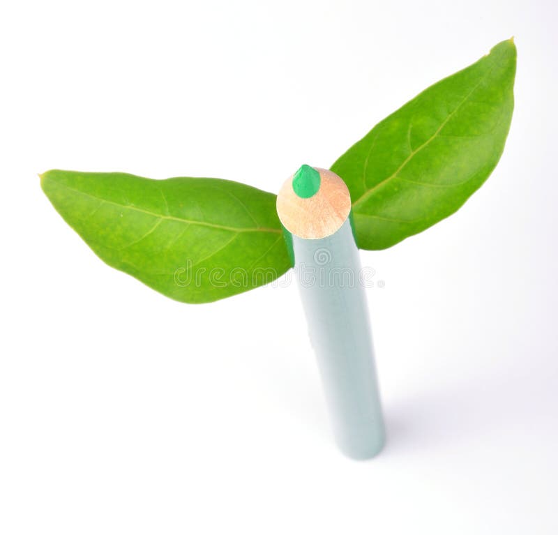 Pencil tree stock photo. Image of draw, green, life, colorful - 10544170