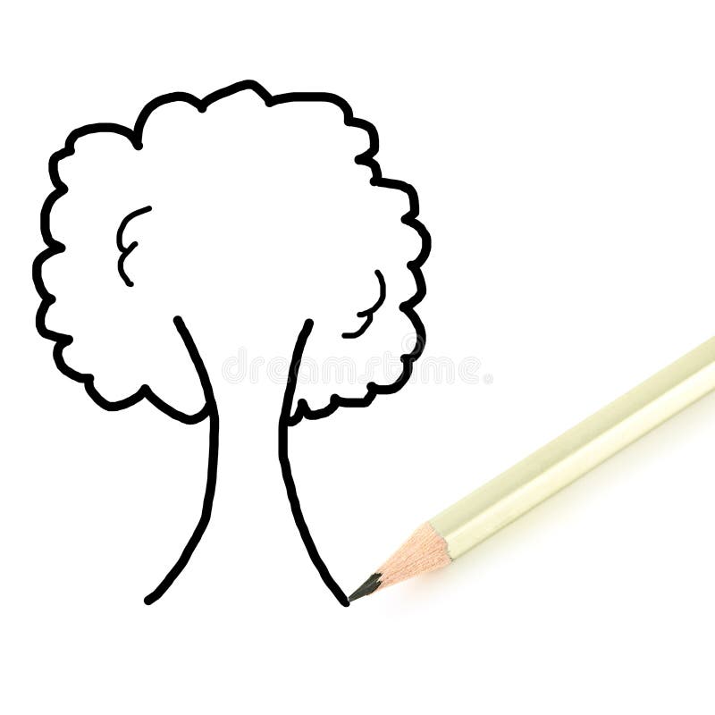 Pencil Writing Tree Isolated on White Background Stock Photo - Image of ...