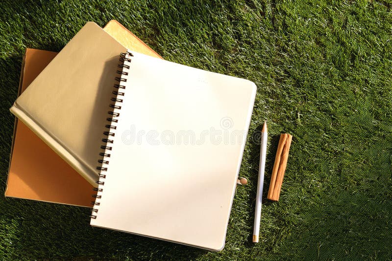 Pencils, Storybooks, Memoirs on a Grass Background Stock Image - Image ...