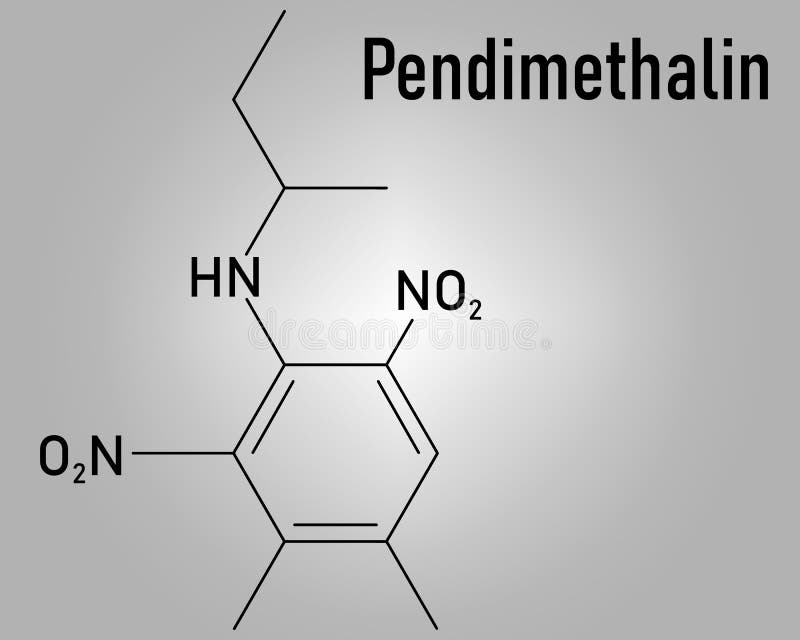 Pendimethalin Dinitroaniline Class Herbicide Molecule. Skeletal Formula ...