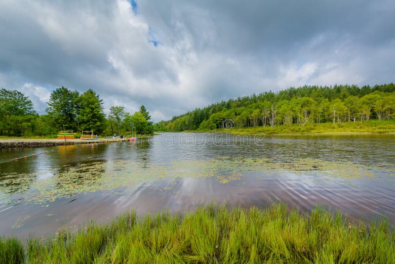 Blackwater Falls and a Trail at Blackwater Falls State Park Stock Image ...