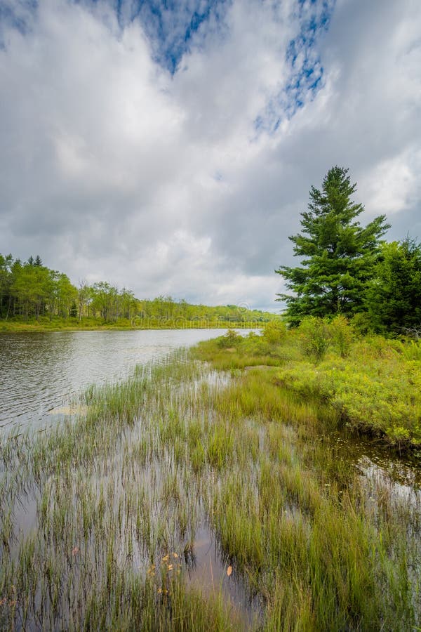 Pendleton Lake, at Blackwater Falls State Park, West Virginia Stock ...