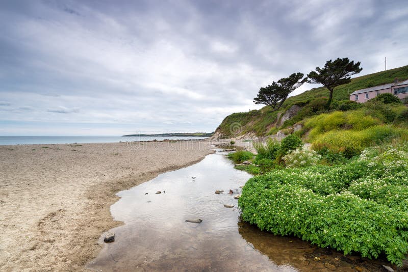 Pendower Beach in Cornwall stock photo. Image of british - 57209170