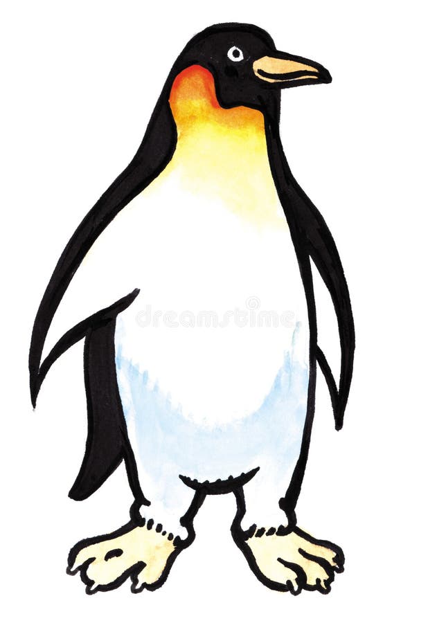 Macaroni Penguin Eudyptes Chrysolophus Stock Illustration ...