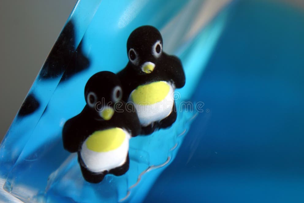Penguin Antics stock photo. Image of play, java, penguins - 12114