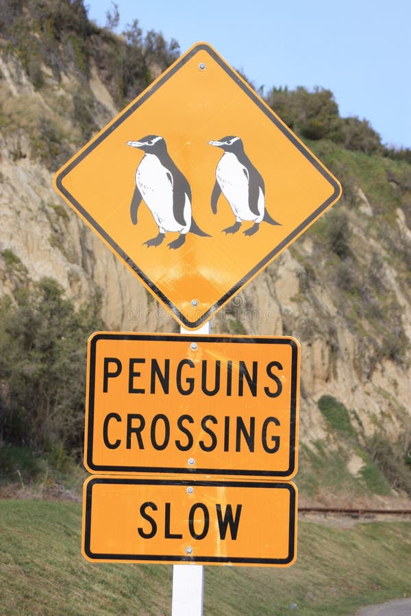 Penguin Crossing Sign,Harigton Point,South Island,New Zealand Stock ...