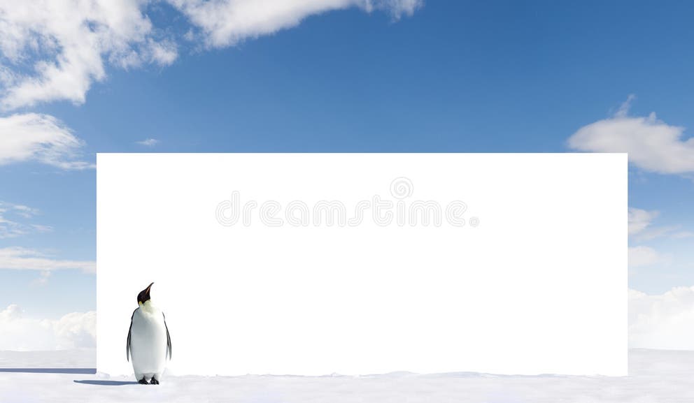 Penguin Looking at Billboard Stock Photo - Image of outside, sign: 10241848