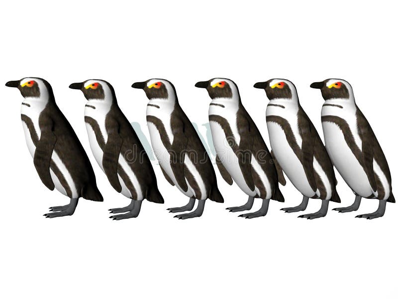 Penguin Row stock illustration. Illustration of aptenodytes - 423069