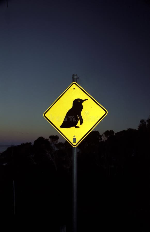 Penguin Sign stock image. Image of dark, dusk, yellow - 10063479