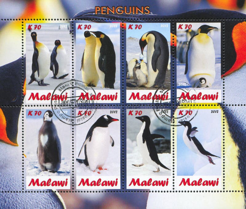 Penguin Stamp Printed by Malawi Editorial Photography - Image of ...