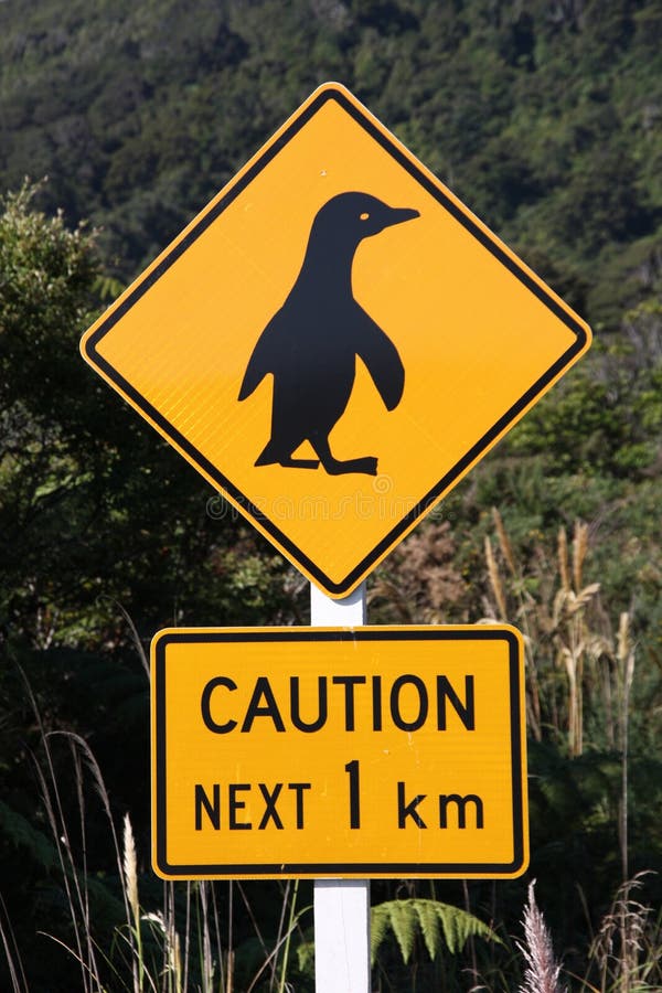 Caution Penguins Sign in NZ Stock Image - Image of outdoor, travel ...