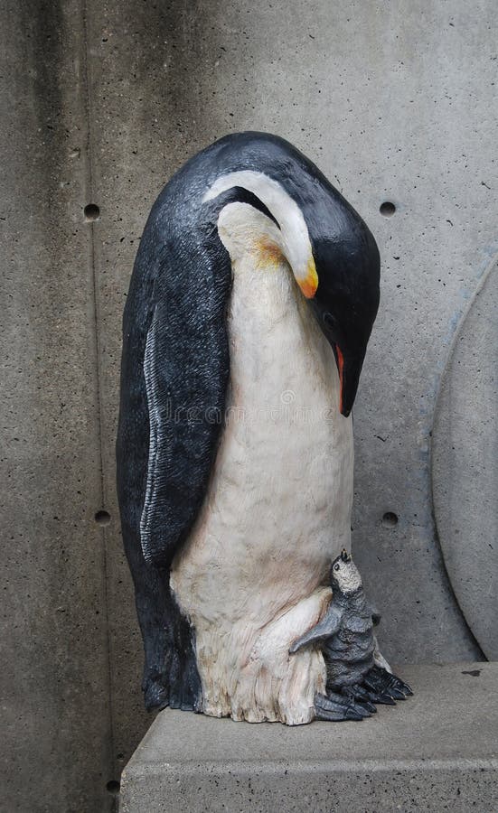 Penguins stock photo. Image of water, boston, massachusetts - 26106086