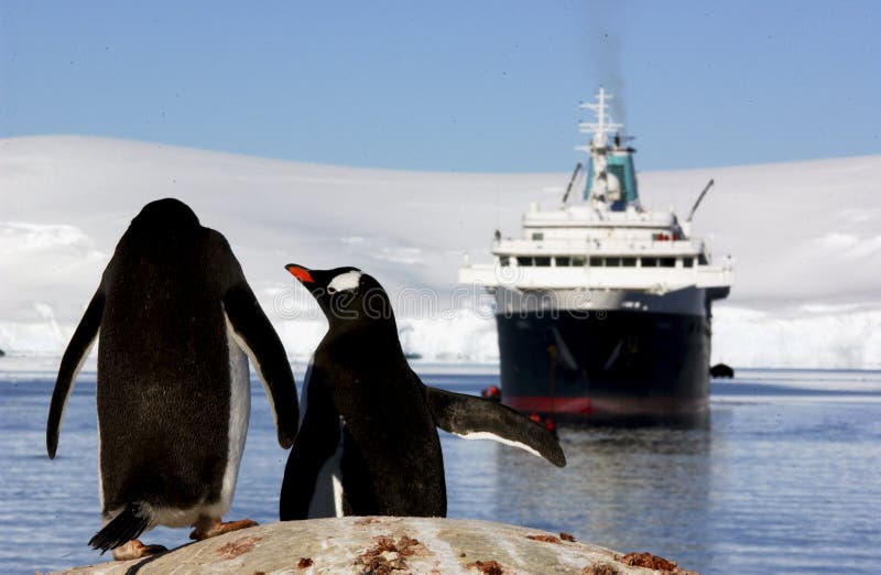 Penguins looking at a boat stock photo. Image of winter - 6204218