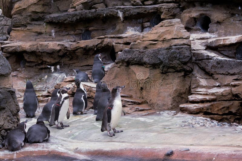 Seattle skyline stock image. Image of water, skyline - 34890961