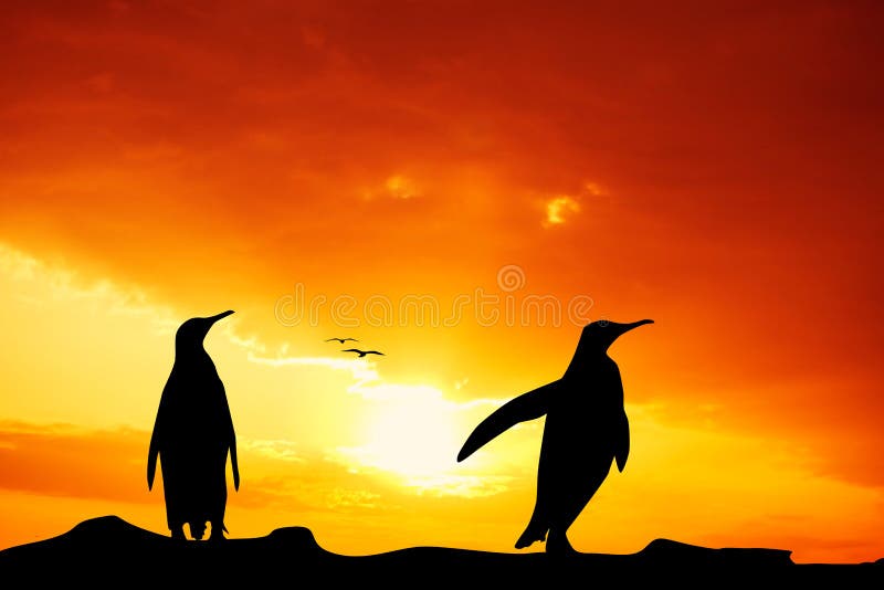 Penguins at sunset stock illustration. Illustration of penguin - 36641528