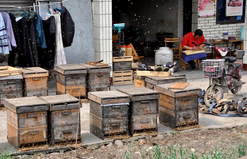 Pengzhou, China: Beehives and Beekeeper Editorial Photography - Image ...