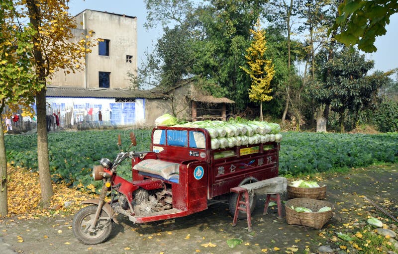 Pengzhou, China: Farm Truck with Cabbages Editorial Stock Photo - Image ...