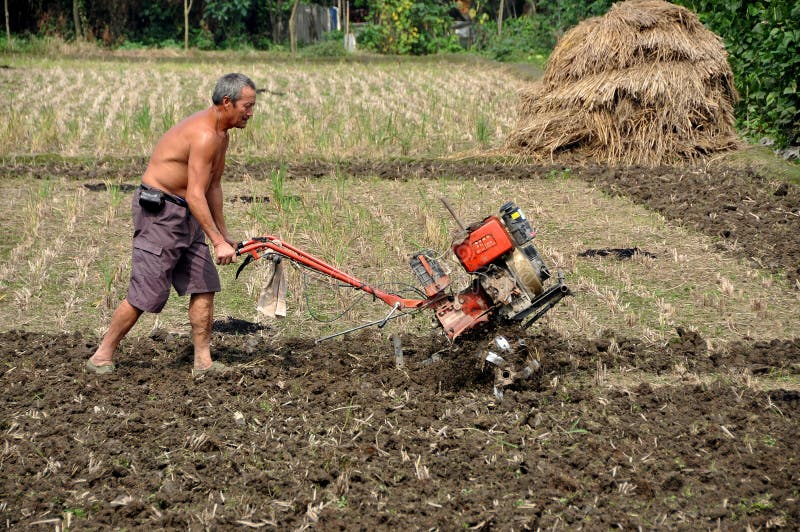 The Chinese Farmer Is Plowing Editorial Stock Image - Image of farming ...