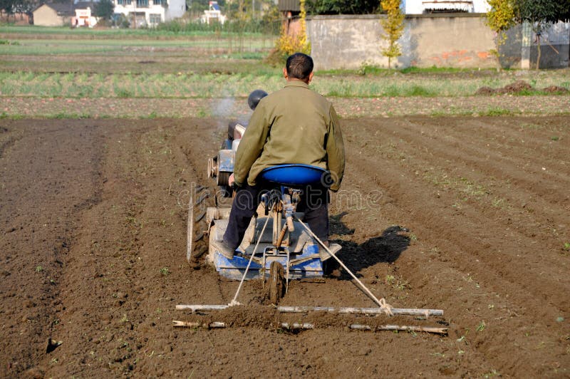 Pengzhou, China: Farmer Plowing Field Editorial Stock Image - Image of ...