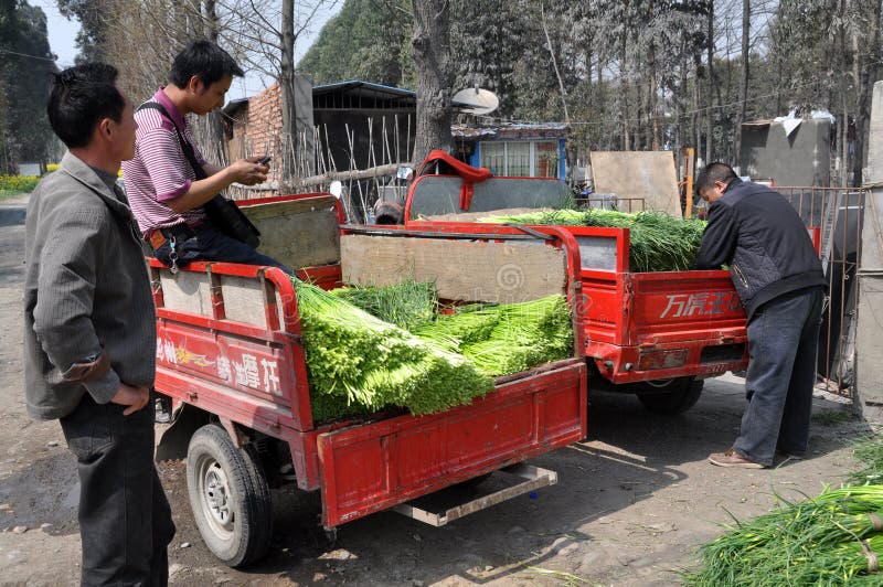 Pengzhou, China: Farmers with Garlic Editorial Stock Image - Image of ...