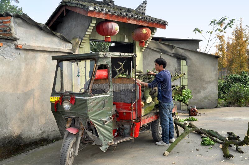 Pengzhou, China: Man Loading Tree Branches Editorial Image - Image of ...