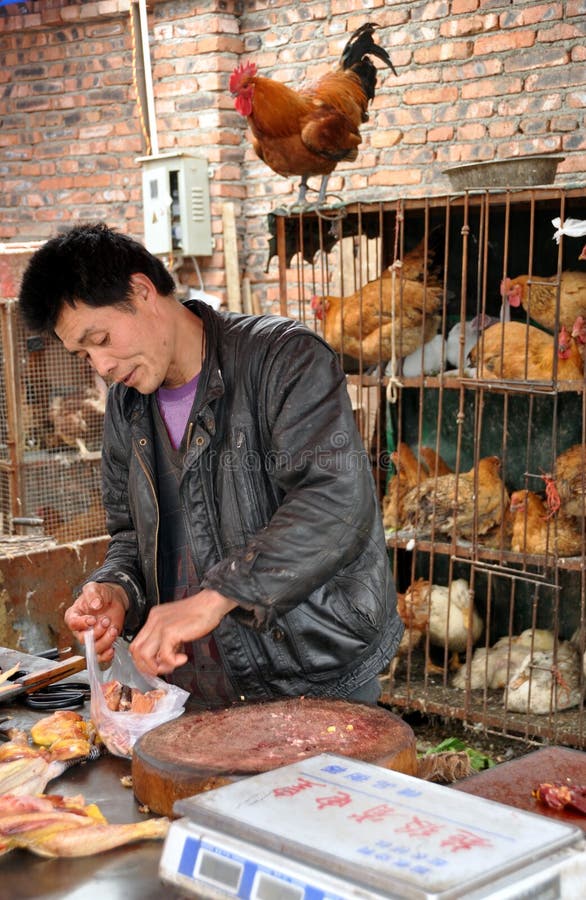 Pengzhou, China: Slager Met Kippen Redactionele Afbeelding - Image of ...