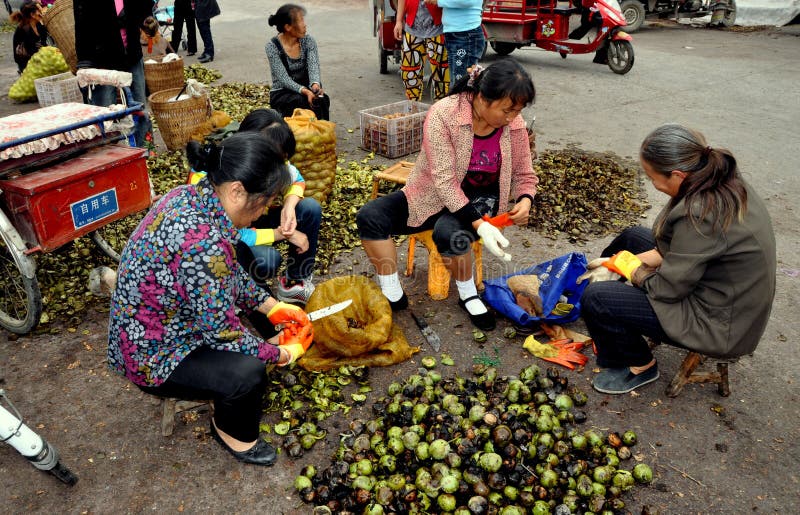 Pengzhou, China: Women Shelling Fresh Walnuts Editorial Image - Image ...