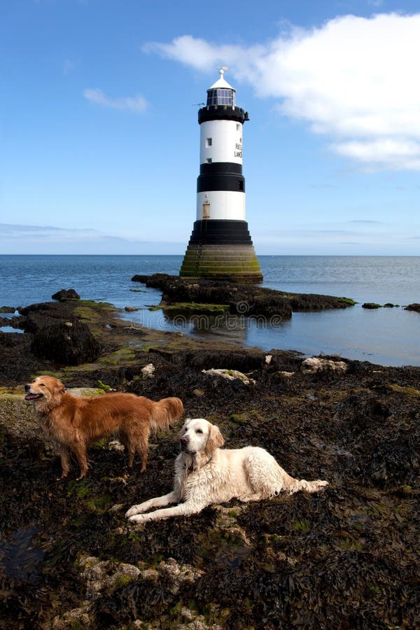 Penmon Point stock image. Image of ocean, lighthouse - 25107467