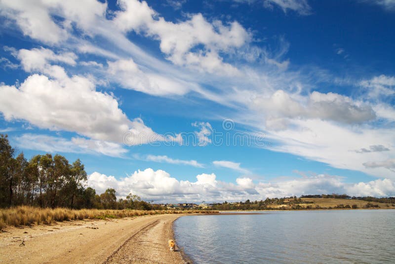 Penna beach in Tasmania stock photo. Image of beautiful - 17121768