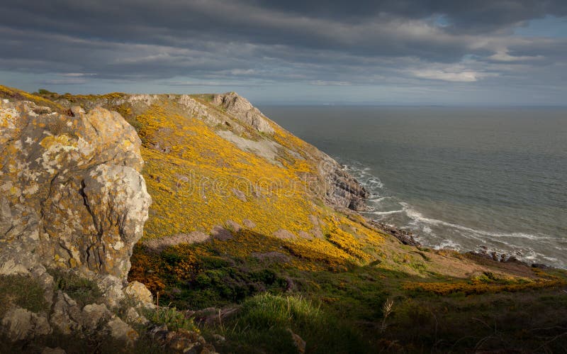 Pennard cliffs stock image. Image of yellow, bushes, pennard - 54890599