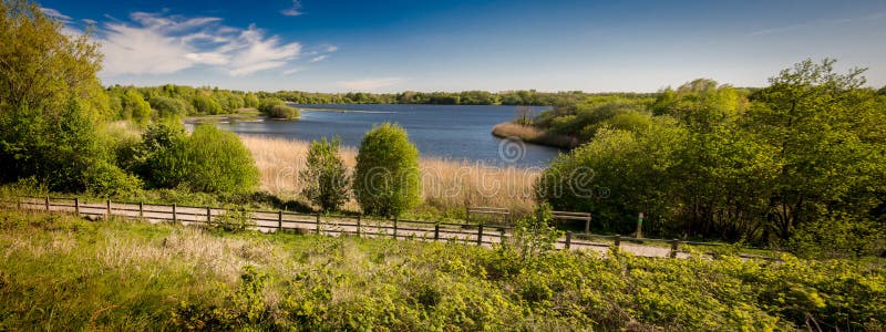 Pennington flash stock photo. Image of meadow, pond, path - 93677562
