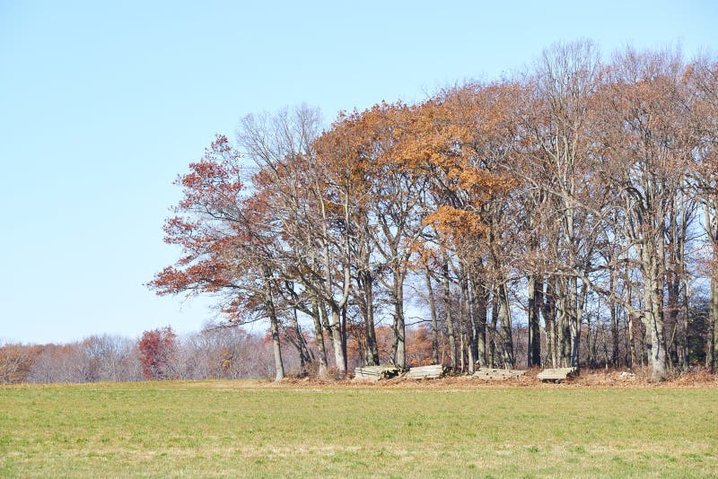 Pennsylvania stock image. Image of beech, foliage, blue - 83307621