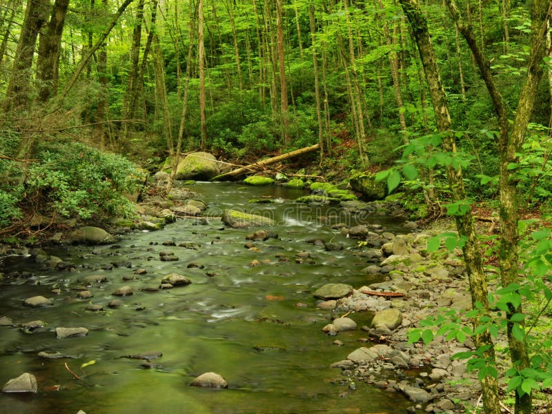 Pennsylvania Forest Stream in Spring Stock Image - Image of pike ...