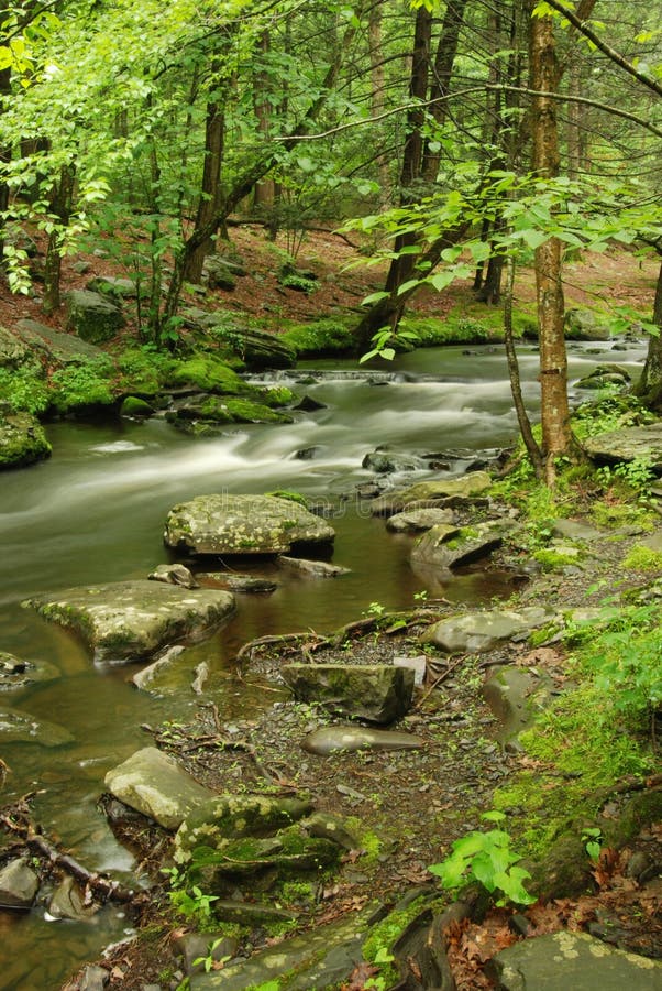 Pennsylvania Forest Stream stock photo. Image of destination - 9796772