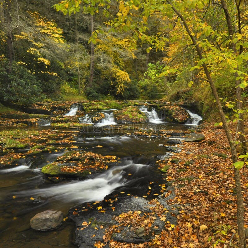 Pennsylvania Forest Stream in Spring Stock Image - Image of pike ...