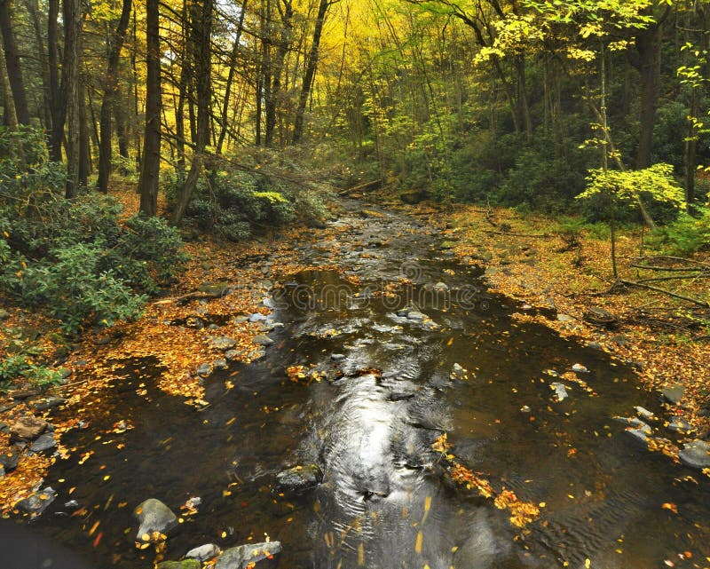 Pennsylvania Forest Stream in Spring Stock Image - Image of pike ...