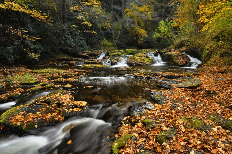 Pennsylvania Forest Stream in Spring Stock Image - Image of pike ...