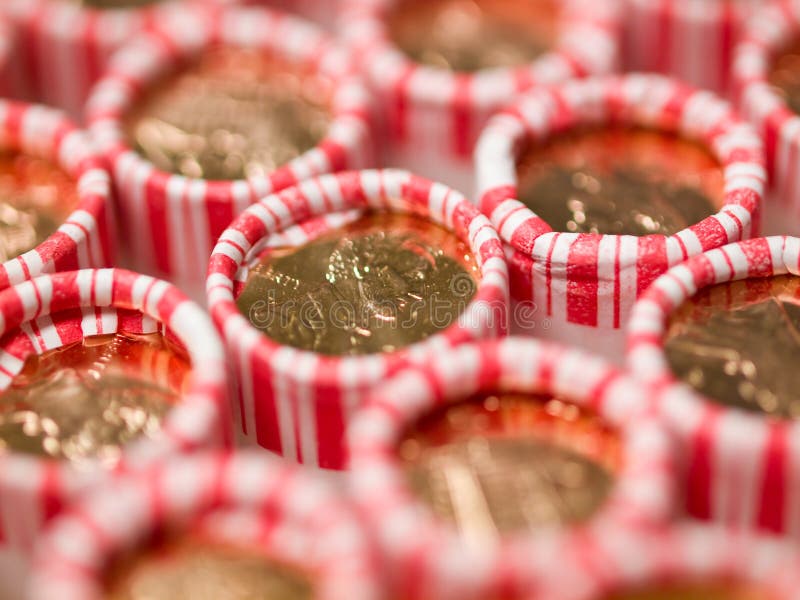 Penny Rolls Lined Up in a Box Stock Image - Image of banking, interest ...