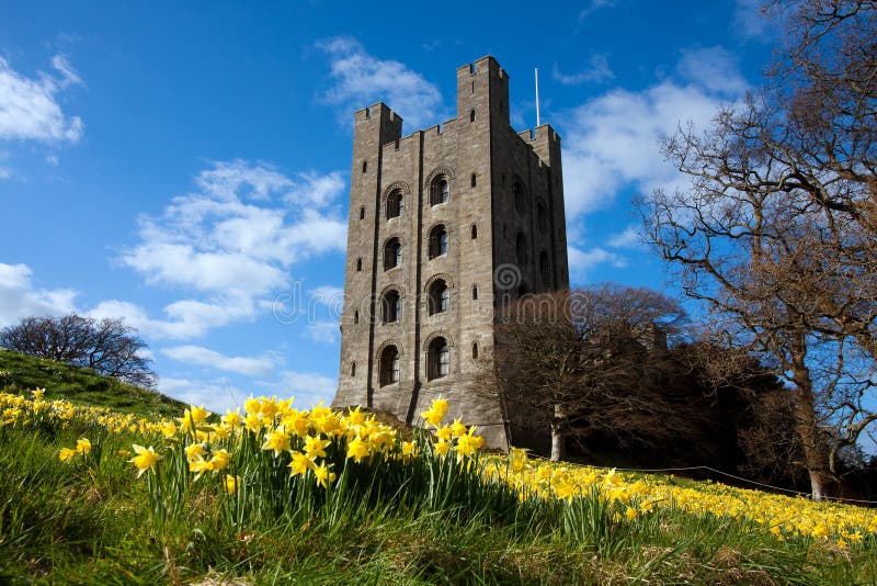 Penrhyn Castle stock photo. Image of penrhyn, castle, fantasy - 5780624