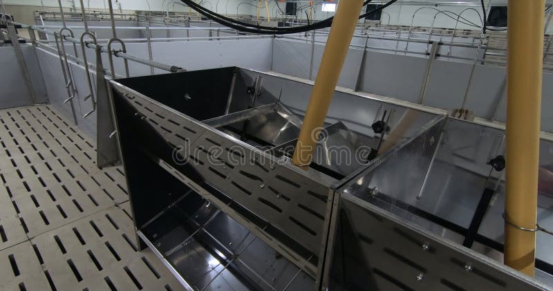 Pens for Breeding Piglets on a Pig Farm. Pigsty, Pig Breeding ...