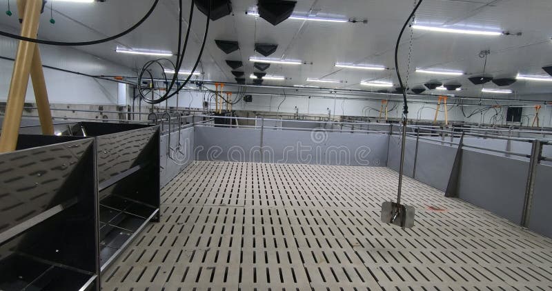 Pens for Breeding Piglets on a Pig Farm. Pigsty, Pig Breeding ...