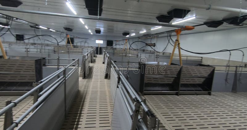 Pens for Breeding Piglets on a Pig Farm. Pigsty, Pig Breeding ...