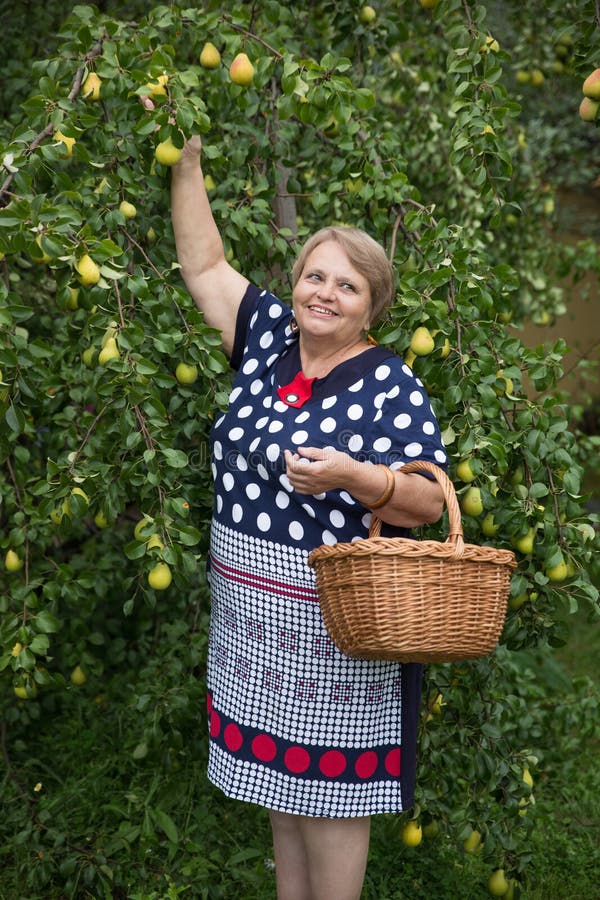Woman Under Pear Tree Stock Photos - Free & Royalty-Free Stock Photos ...